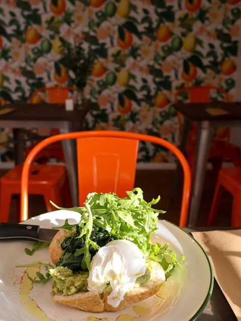 Things to do in Loxton - Loxton Courthouse Apartments